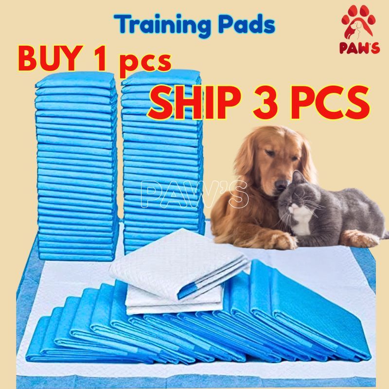 BUY 1 SHIP 3 PCS Training Pads Pee Pad Potty Pads For Dog Cat Poop ...