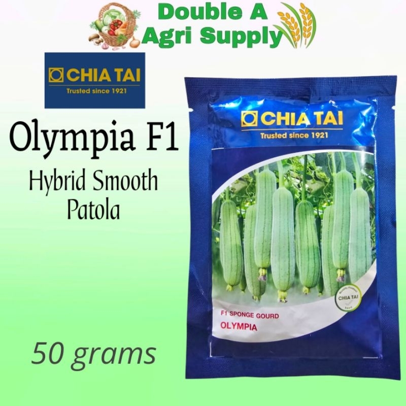 Olympia F1 Hybrid Smooth Patola / Sponge Gourd / 50 grams - Chia Tai ...