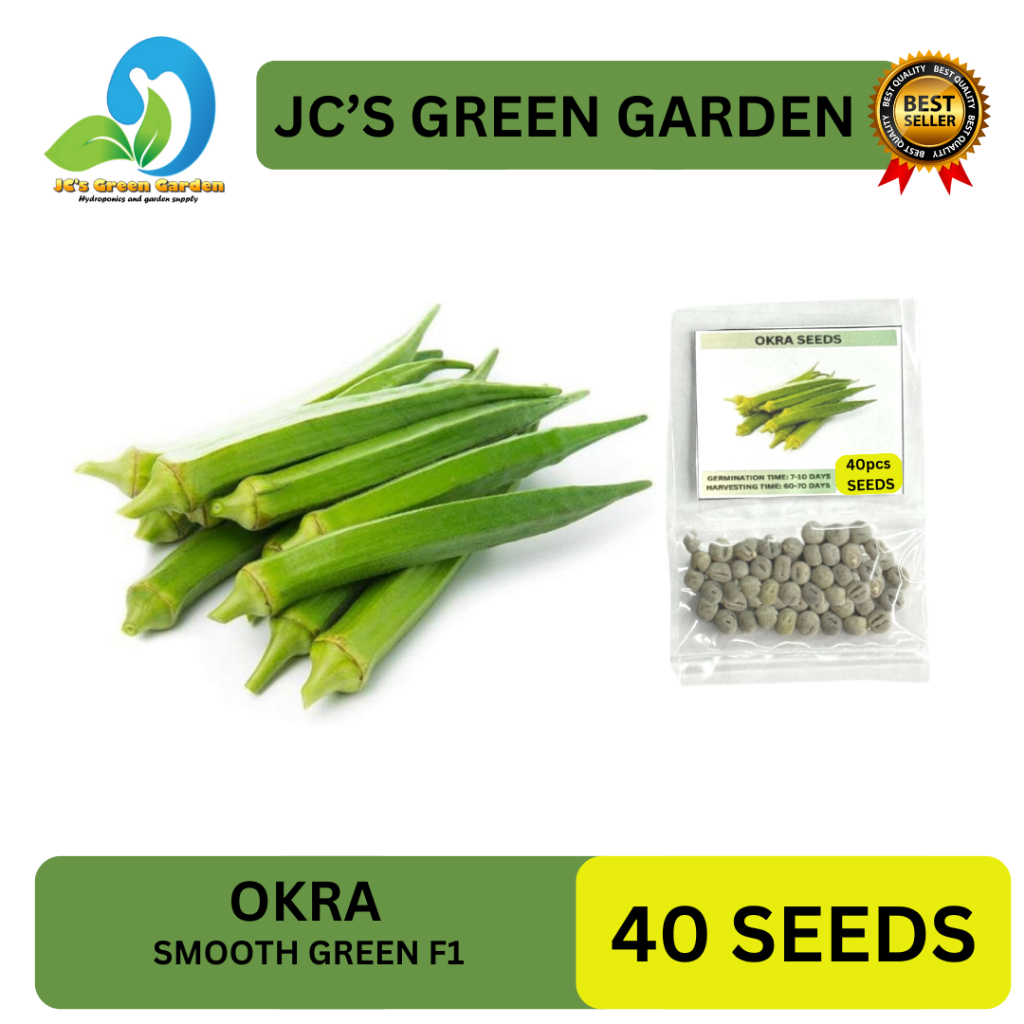 (40 SEEDS) - OKRA SEEDS /SMOOTH GREEN F1/EASTY TO GROW/HIGH YIELDING ...