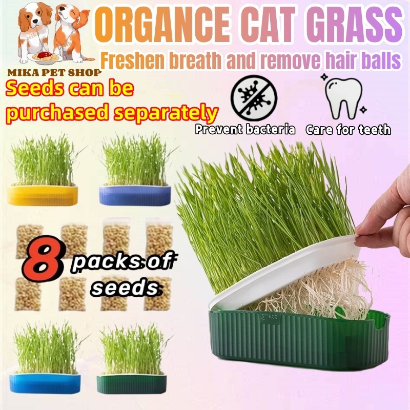 Cat Treats Cat Grass Organic Cat Seeds Send 8 Packs Organic Soilless ...