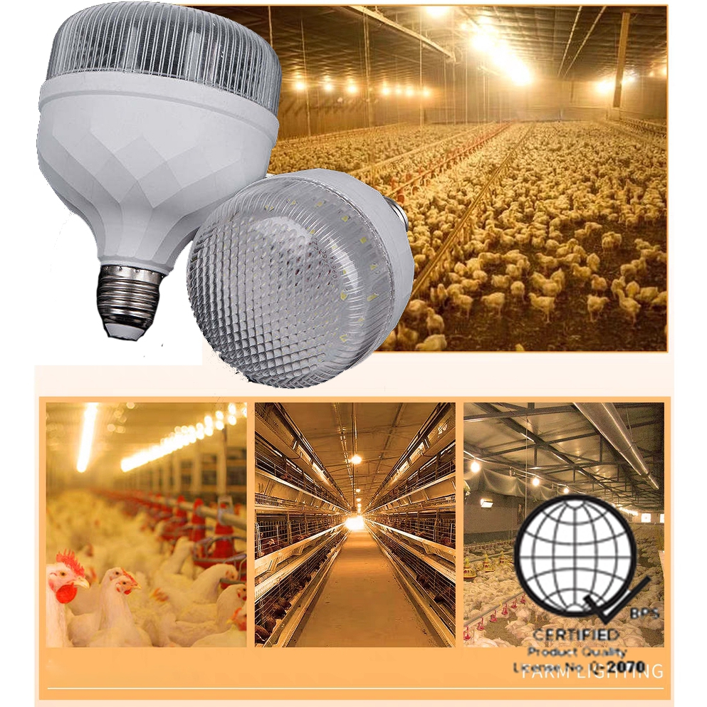 LED Bulb Lamp E27 Warm Light Bulb 55W/3000K Warm Yellow Light Chicken ...