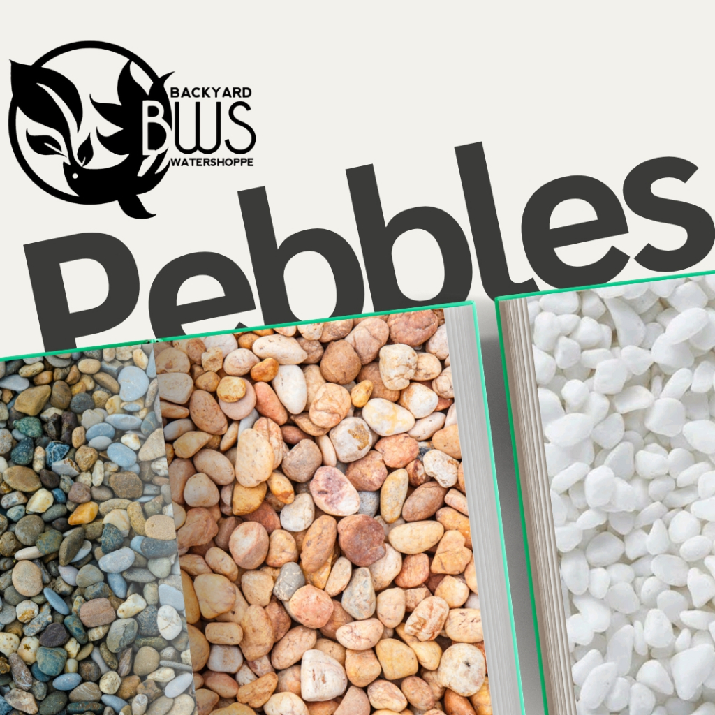 Pebbles for Aquarium | Shopee Philippines
