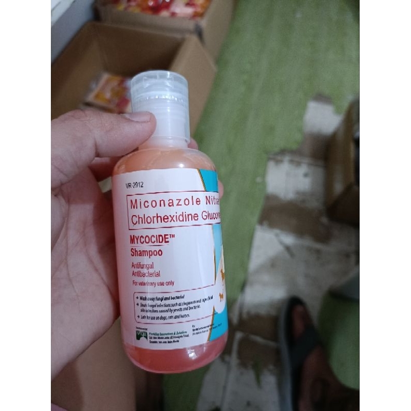Mycocide Shampoo anti fungal anti bacterial shampoo | Shopee Philippines