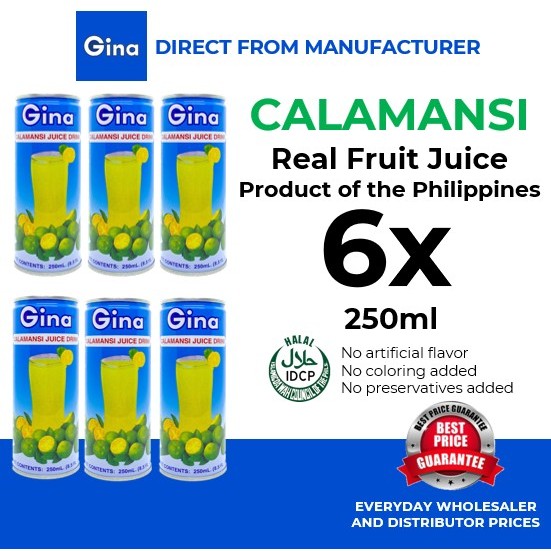 6x Gina Calamansi Juice Drink 250mL – Refreshing Filipino Citrus Juice ...