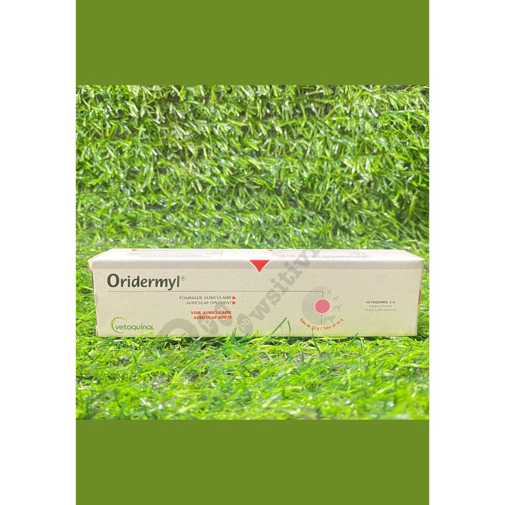Oridermyl Ointment for Ears for Pets 10g | Shopee Philippines