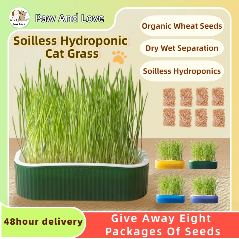 Cat Treats Cat Grass Organic Cat Seeds Send 8 Packs Organic Soilless ...
