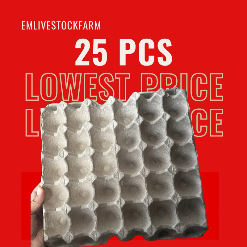 Paper Egg Trays 25pcs | Shopee Philippines