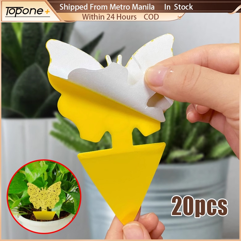 20PCS Dual-Sided Sticky Fly Traps Non-Toxic Odorless Insect Traps For ...