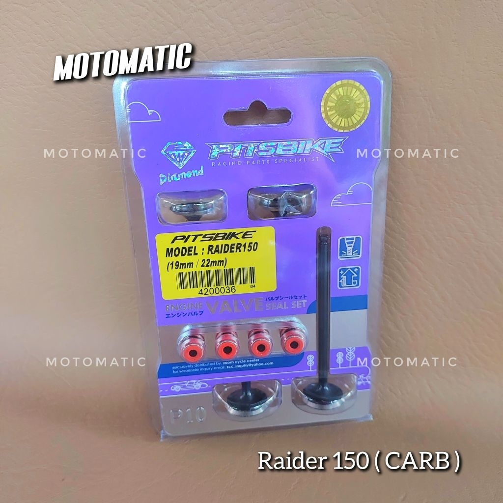 RAIDER 150 carb | Diamond engine valve set with seal | PITSBIKE ...