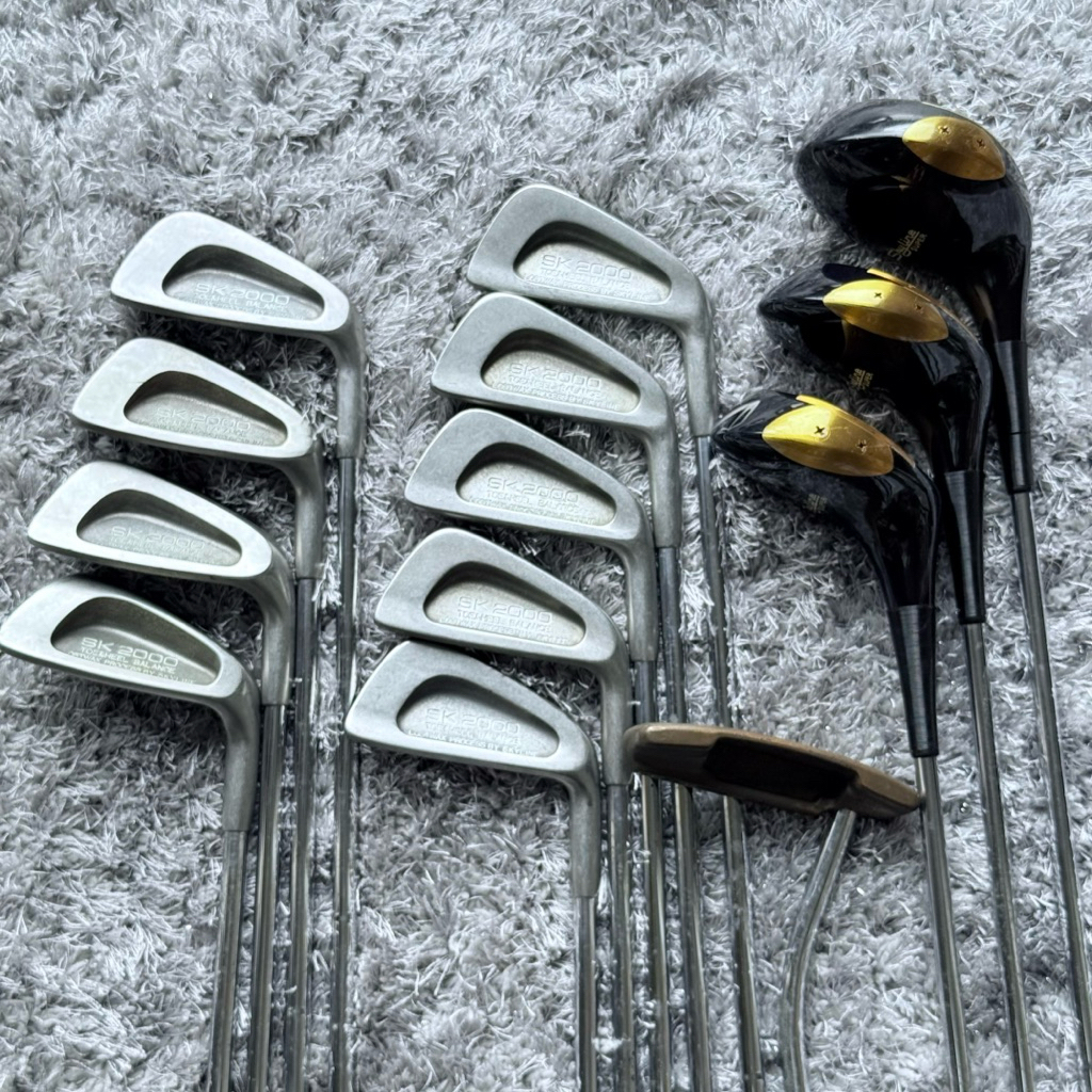 SKYLINE SK2000 Golf Set Driver, Woods, Irons, Putter Apollo Steel Shaft ...