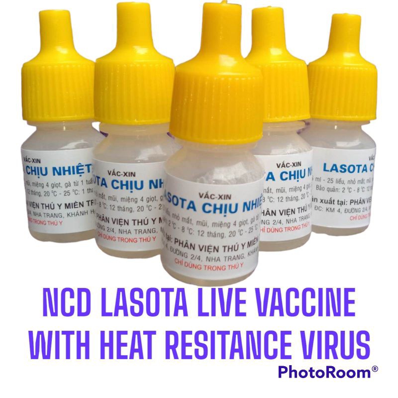 NCD LASOTA FOR CHICKEN PIGEONS WITH HEAT RESISTANCE | Shopee Philippines