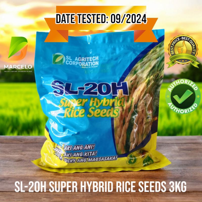 HIGH YIELD SUPER HYBRID RICE SEEDS SL8H / SL19H / SL20H / SL39H 3KG-By ...