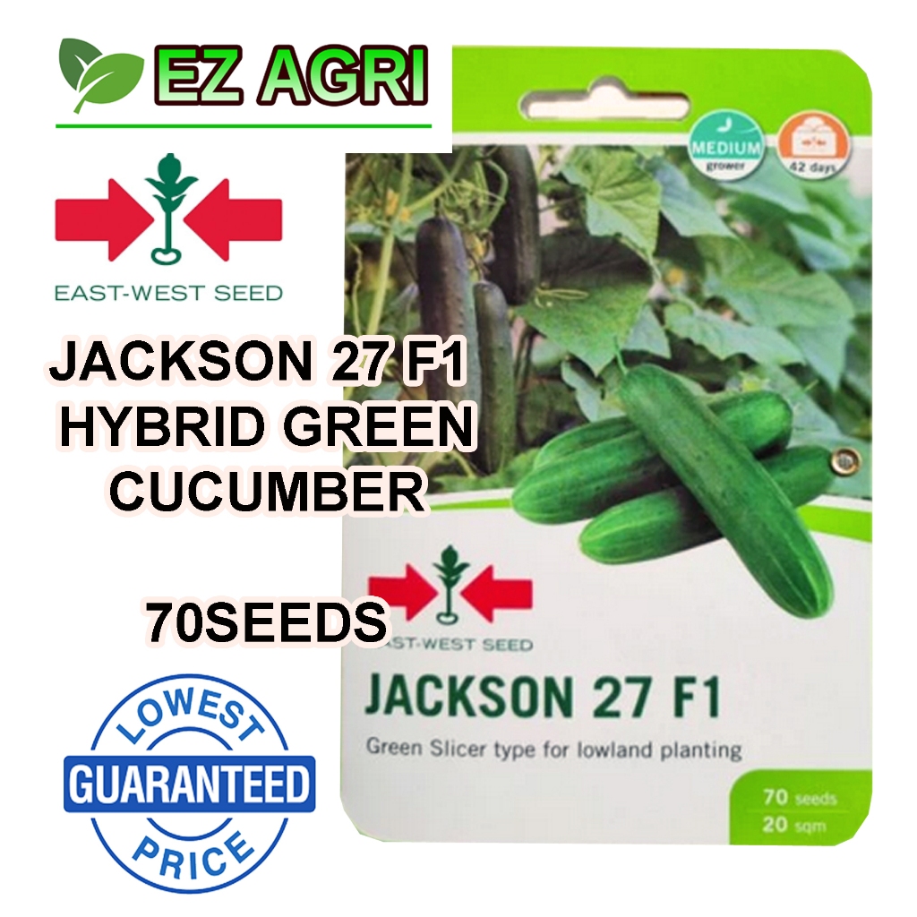 EZ EAST WEST PIPINO HYBRID F1 ORIGINAL JACKSON 27 F1 HYBRID 70 SEEDS ...