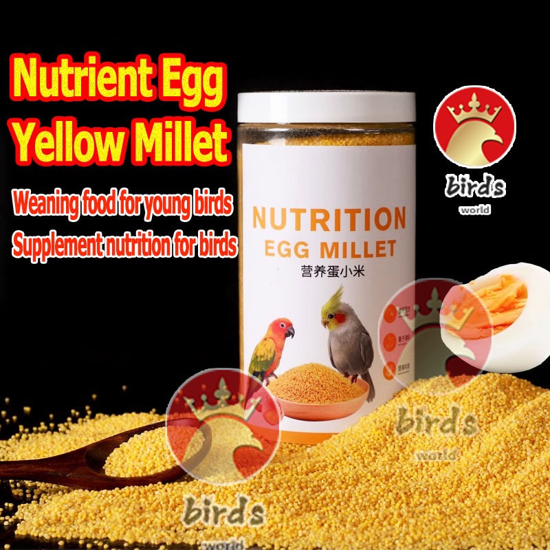 Yellow Millet Bird seed Spirulina egg millet Protein lovebird parrot ...