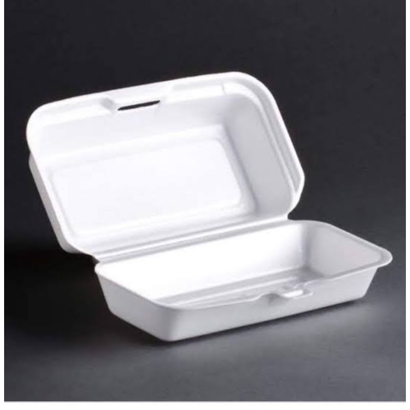 100 pcs - Spaghetti Styro box , take out box .. (Naka karton) | Shopee ...