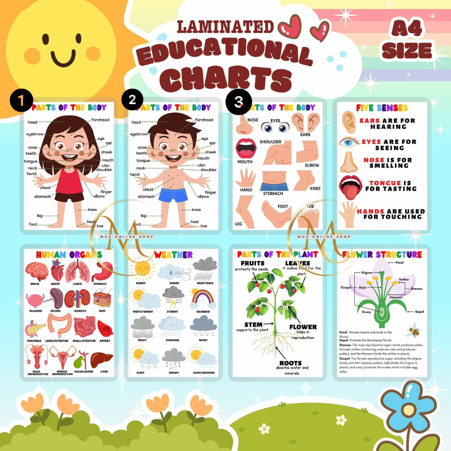 ec2 EDUCATIONAL LAMINATED CHARTS for kids wall chart alphabet number ...