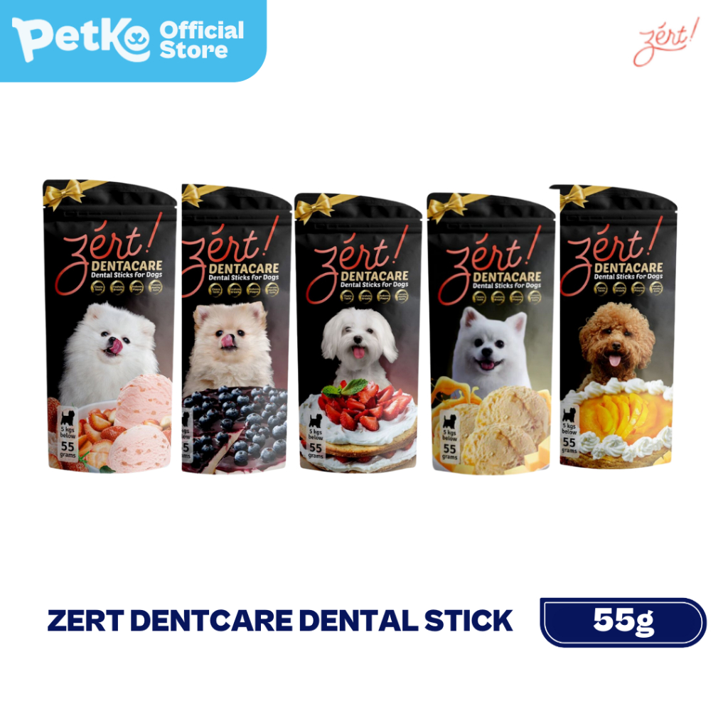 Zert Dentcare /Dessert Dental Stick 55g | Shopee Philippines