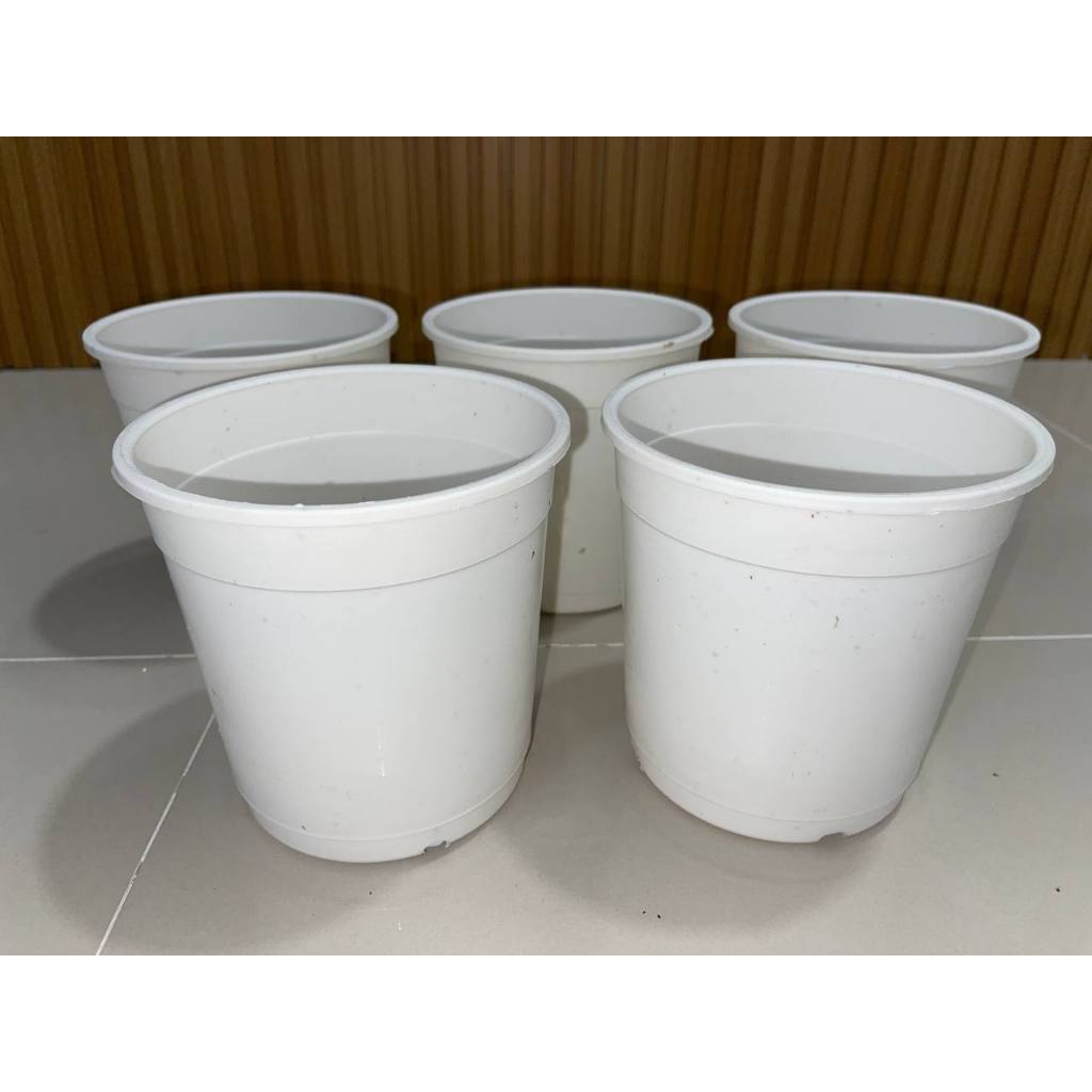 set of 5pcs. white round plant pots - 6x6" - puting paso 40 pesos each ...
