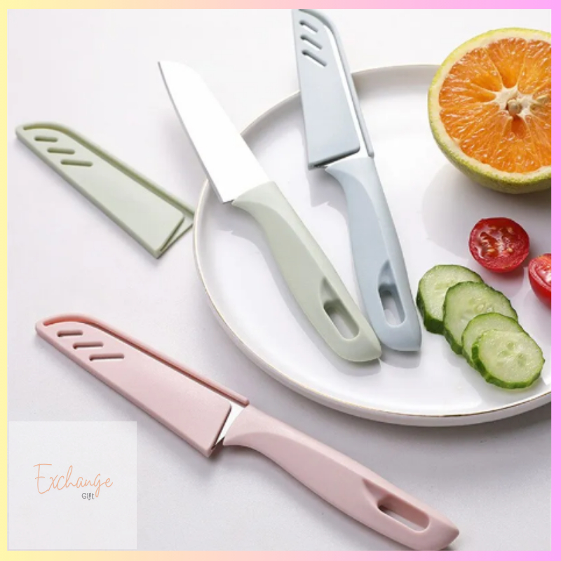 Fruit Knife And Vegetables Stainless Steel Kitchen Knife | Shopee ...