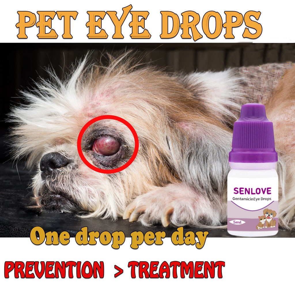 SENLOVE Gentamicin Eye Drop For Cat Eye Drops For Dogs Antibacterial ...
