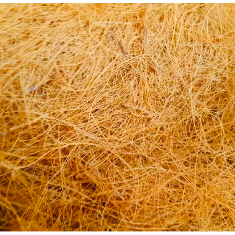 HighQuality Coconut Fiber COCO HUSK FIBER for plants organic soil ...