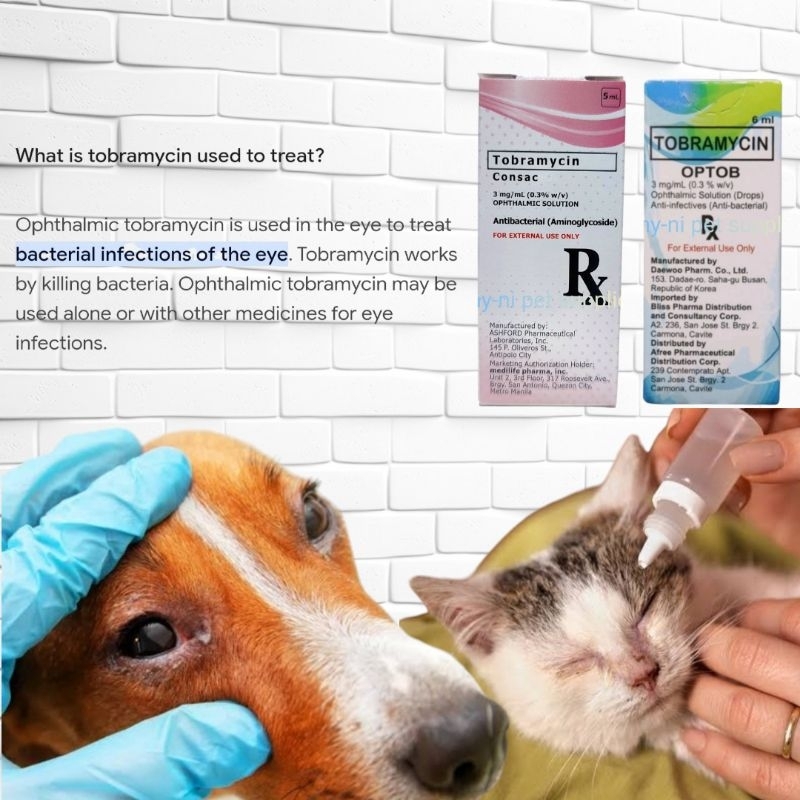 TobraPet Optob Consac Eye Drops for Pet Dogs and Cats|5ml-6ml ...
