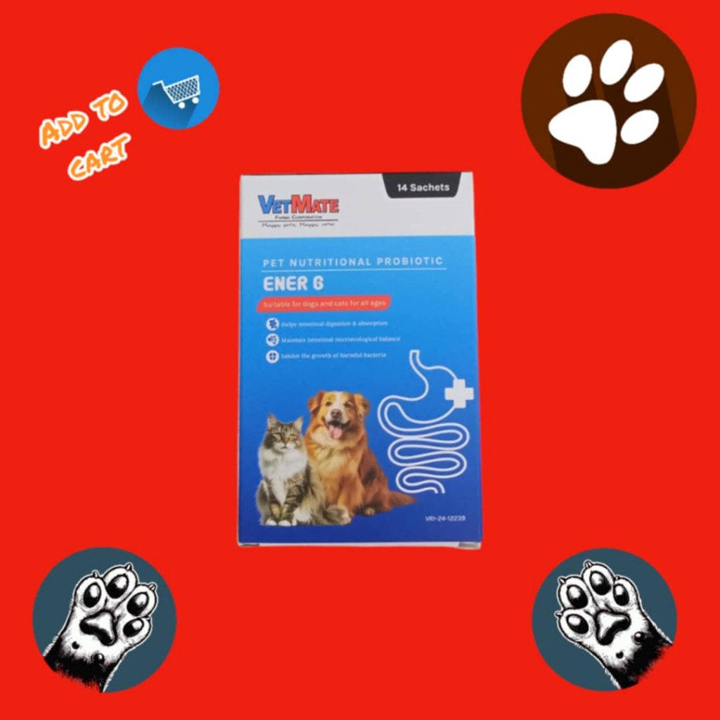 ENER G PROBIOTIC 5G SACHETS x 14's | Shopee Philippines