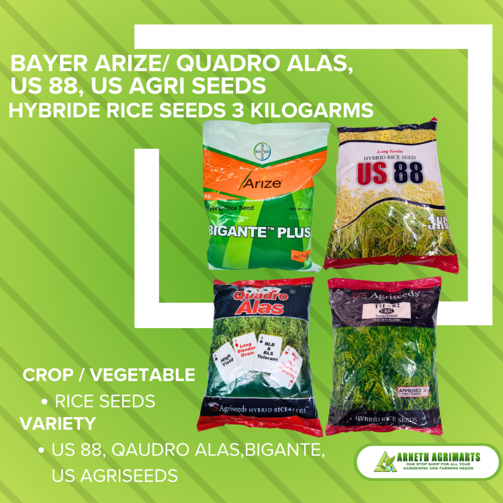 ARNETH BAYER ARIZE BIGANTE PLUS / HYBRID RICE SEEDS TH 82 US 88 QUADRO ...