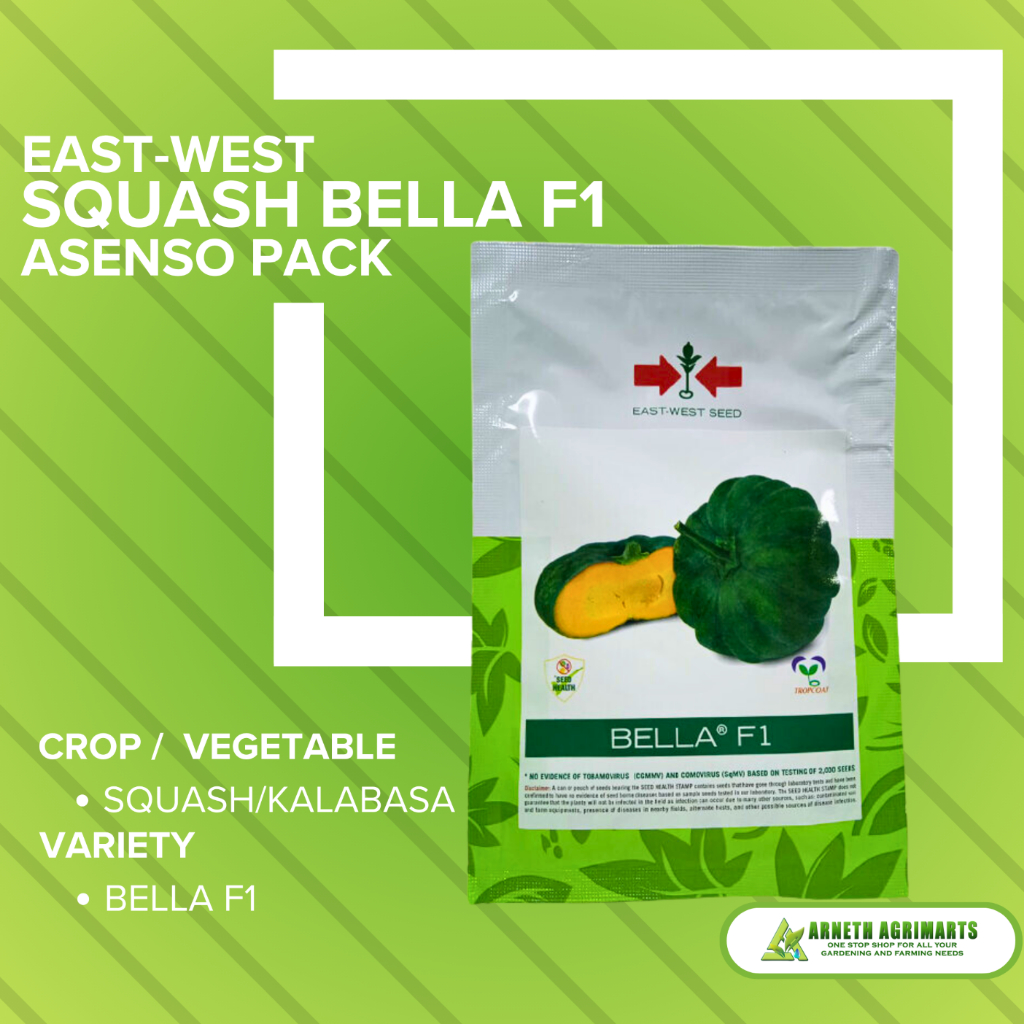 SQUASH BELLA F1 ASENSO PACK BY EAST WEST SEEDS | Shopee Philippines