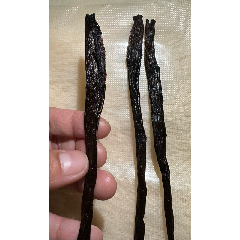 NEW STOCK MADAGASCAR VANILLA PODS (SPLIT OPENED) | Shopee Philippines