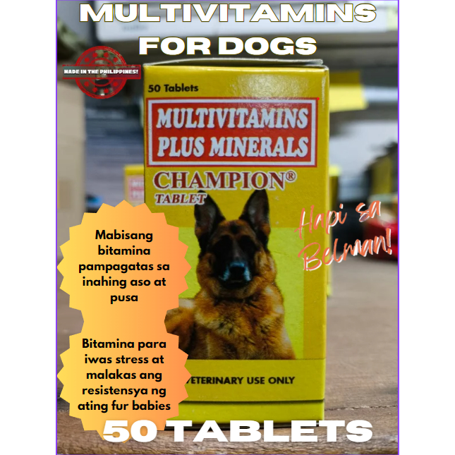CHAMPION Multivitamins Plus Minerals (50 Tablets) | Shopee Philippines