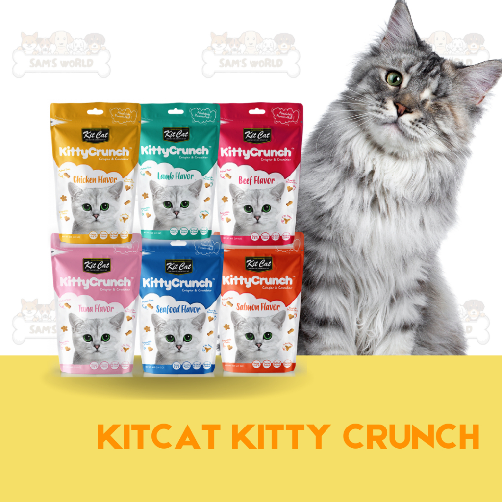 Kit Cat Kitty Crunch Cat Treats 60g | Shopee Philippines