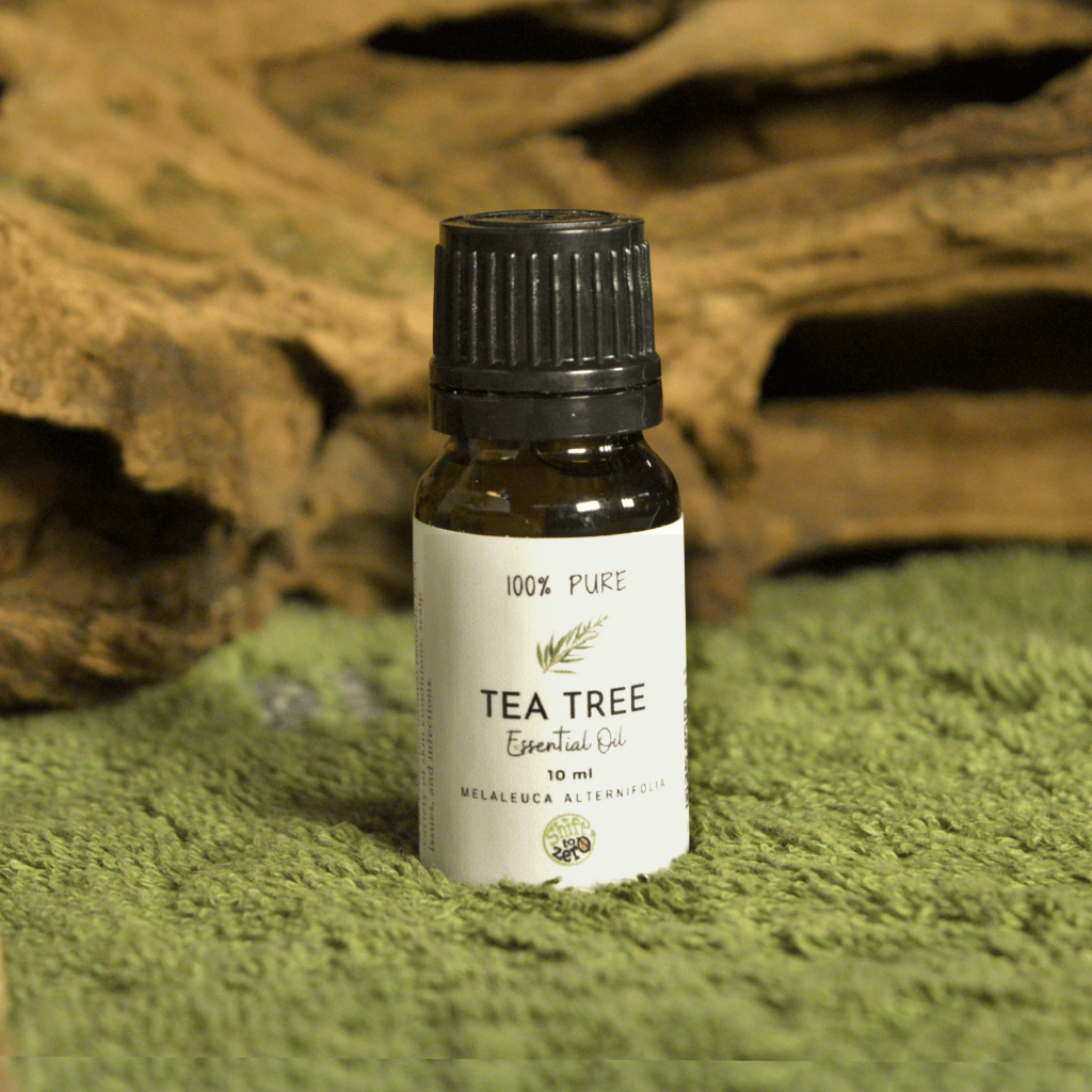 Tea Tree Essential Oil (Anti-Acne) 100% Pure Undiluted 10ml | Shopee ...