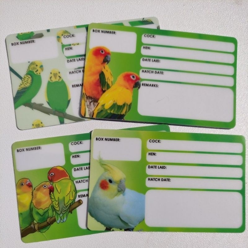 Nest Box Labels PVC Conure Cockatiel ALBS Budgies | Shopee Philippines