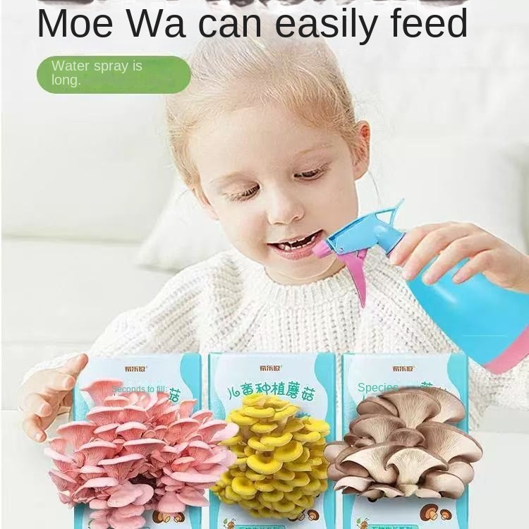 Mushroom box children's DIY mushroom spawn flat mushroom spawn edible ...