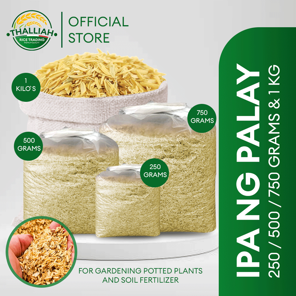 Thalliah Rice Hull - ipa ng palay, 250g-1kg Organic Rice Milling, Bigas ...