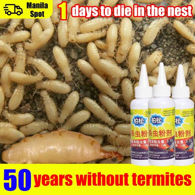 Queen ants die,infect each other,all die.Termite Killer termite x anay ...