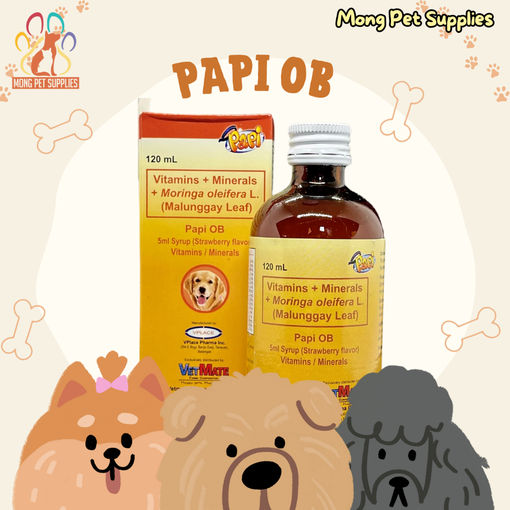 Papi OB Syrup 120ml Vitamins, Minerals and Moringa | Shopee Philippines