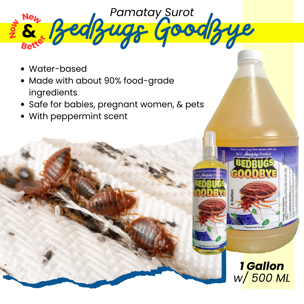 1 Gallon w/ 500 ML BedBugs GoodBye //Pamatay Surot // bed bug killer ...