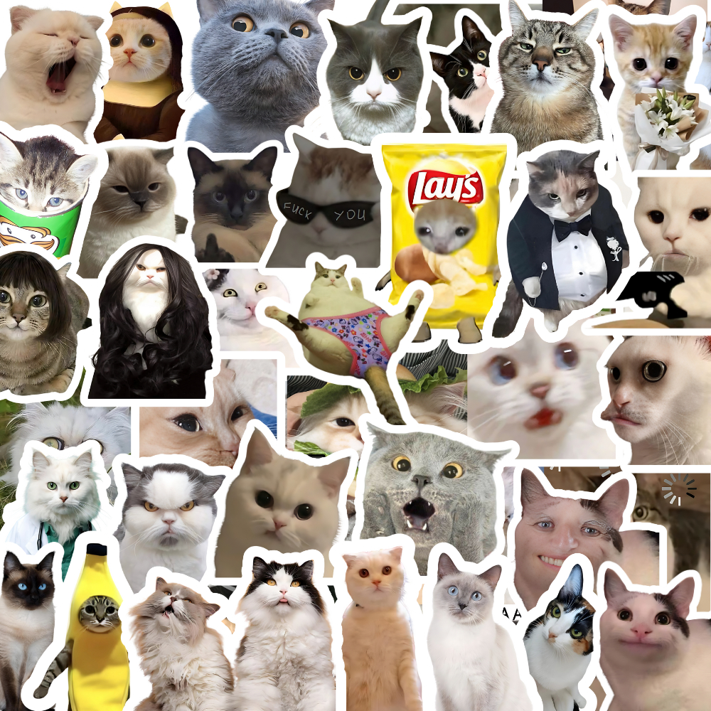 Cat Memes Vinyl Stickers - DIY funny stickers for cellphone case ...