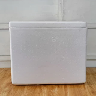 Shop ice box styrofoam for Sale on Shopee Philippines