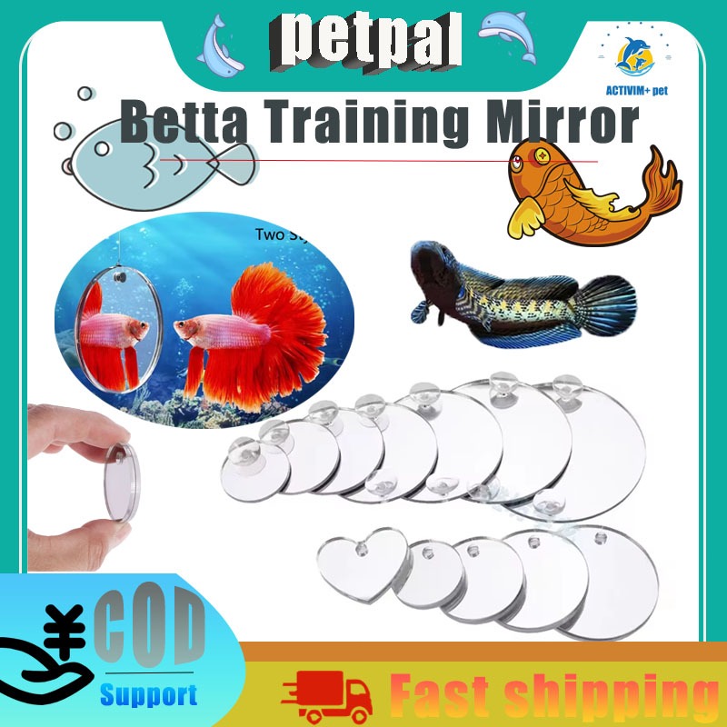 Betta Mirror Training Mirror Exercise Suspension Ball Mirror For Betta ...