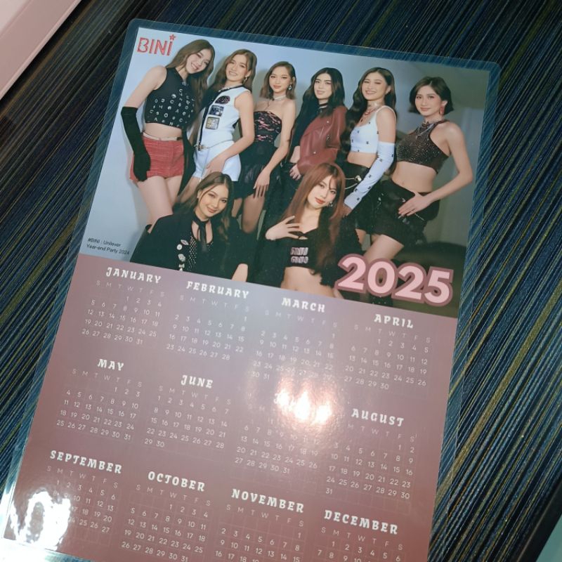 BINI 2025 Mini Wall Calendar (8 x 11.3cm) – Clear and Durable Design ...