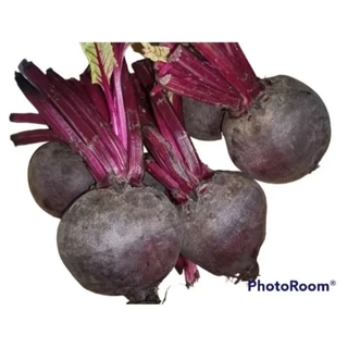 Shop beetroot for Sale on Shopee Philippines