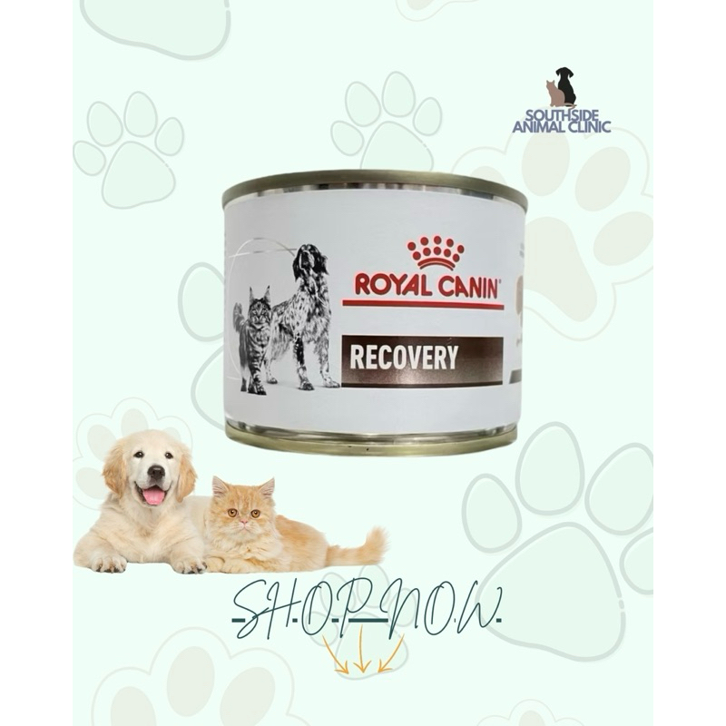 Royal Canin Recovery Food 195grams | Shopee Philippines