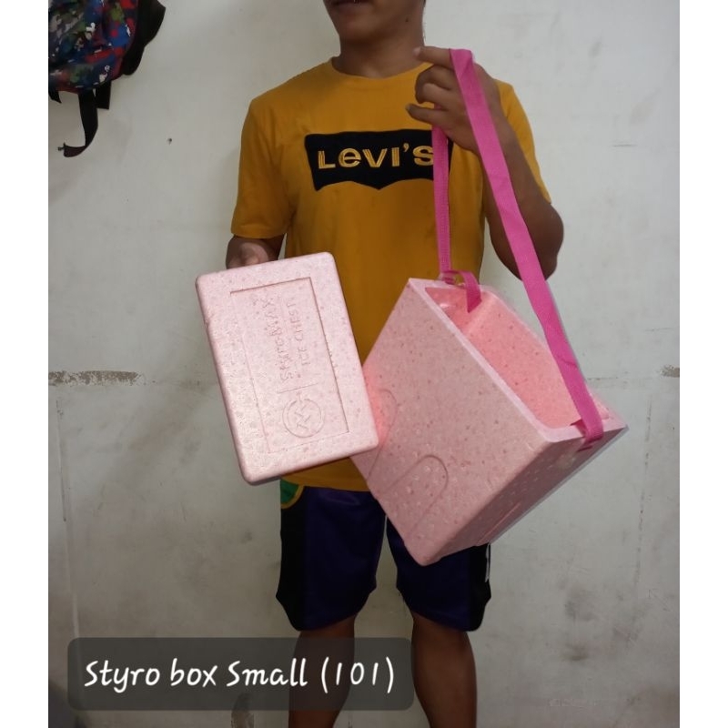 [#101] Styro Box Small size only Random Color | Shopee Philippines