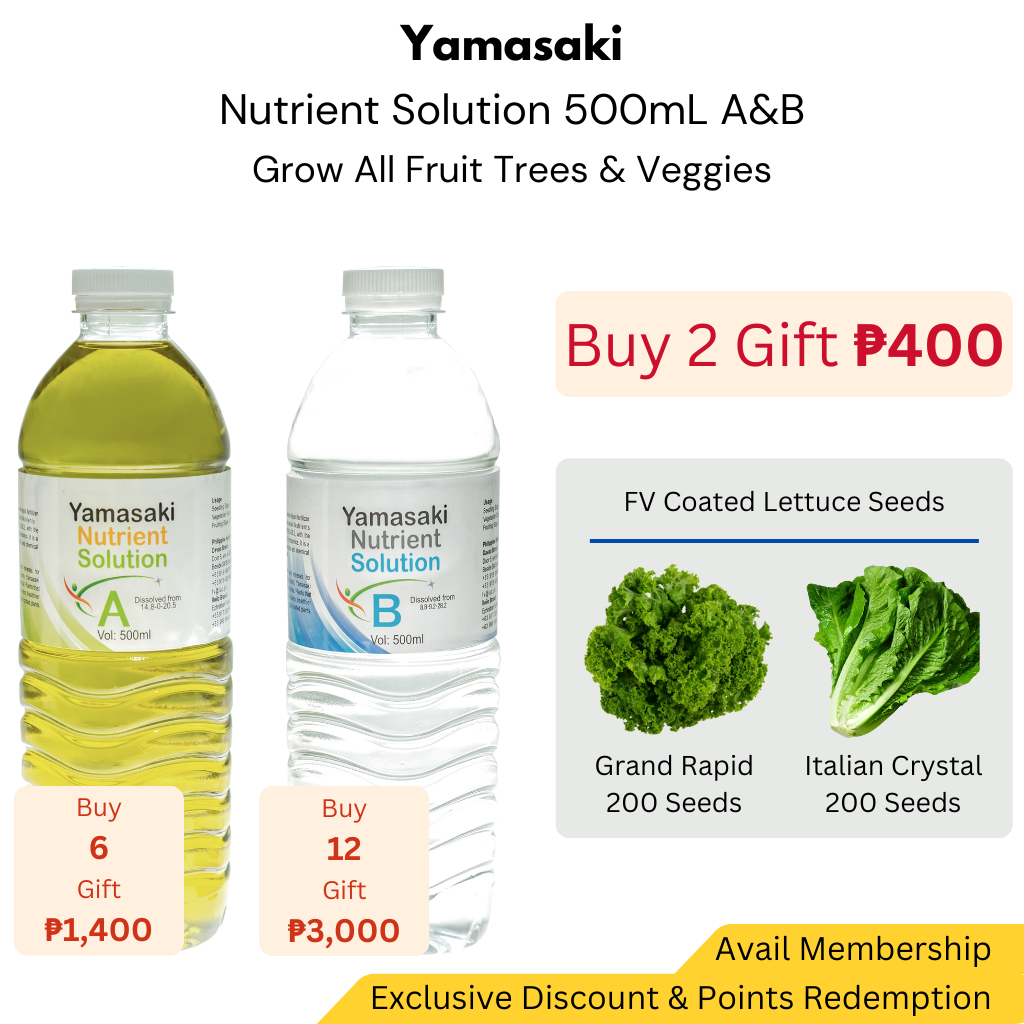 Yamasaki Hydroponic Solution 1L | hydroponics solution hydrophonics ...