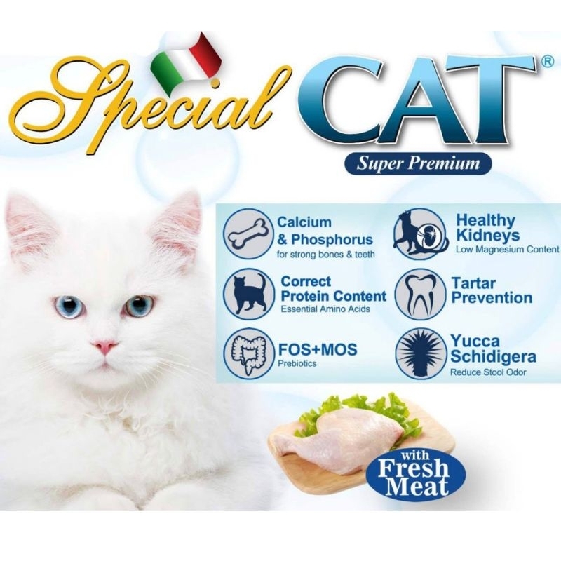 Special Cat Dry Foods 7kgs (PER SACK) | Shopee Philippines