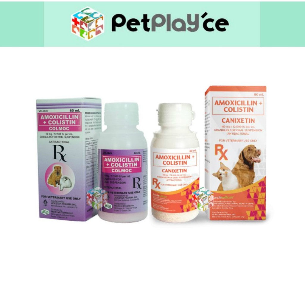 Canixetin / Colmoc Amoxicillin + Colistin Antibacterial Pets 60ML ...