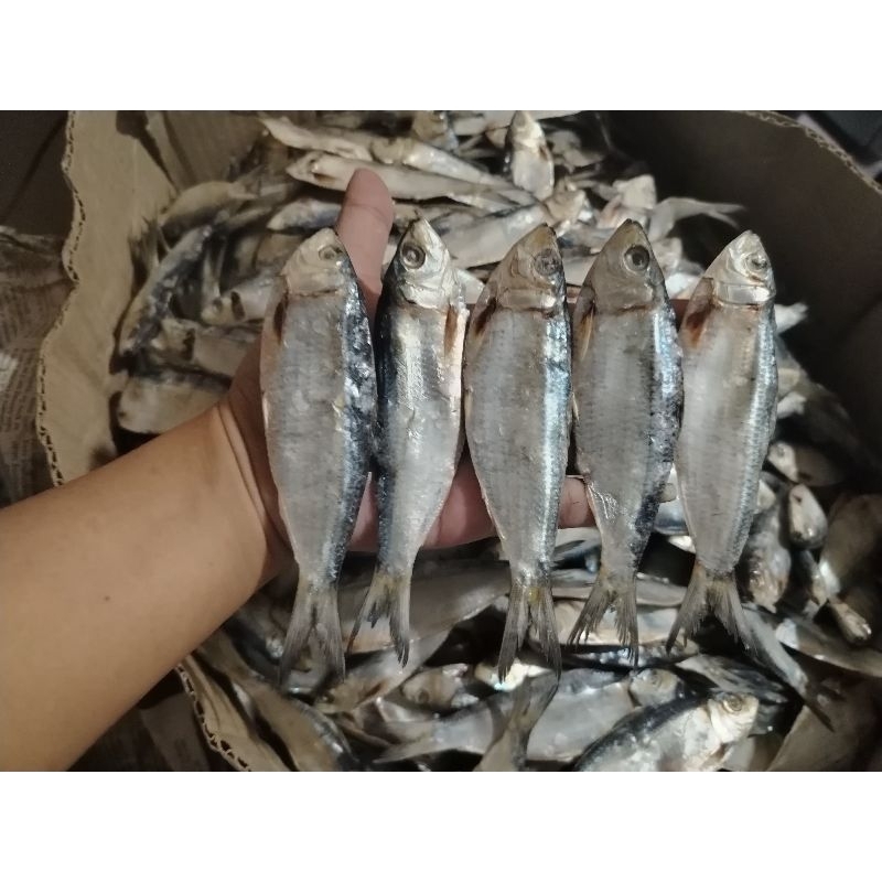 Assorted Dried Fish check out | Shopee Philippines